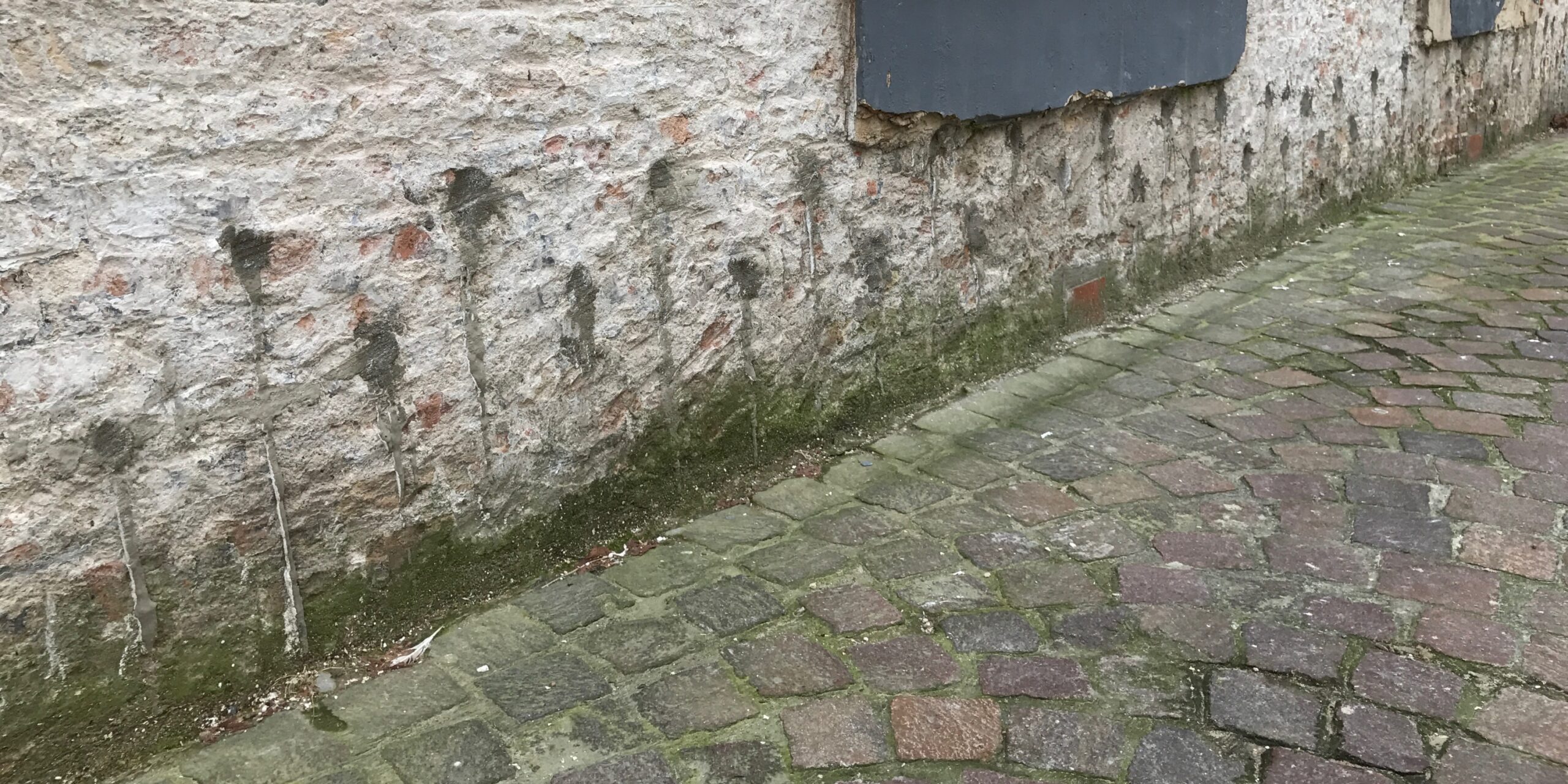 Optrekkend vocht buitenmuur: hoe oplossen? [+ FAQ]